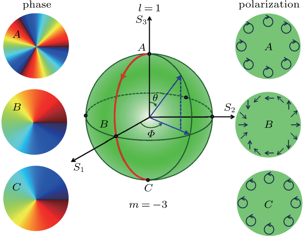 Dynamic shaping of vectorial optical fields based on two-dimensional ...