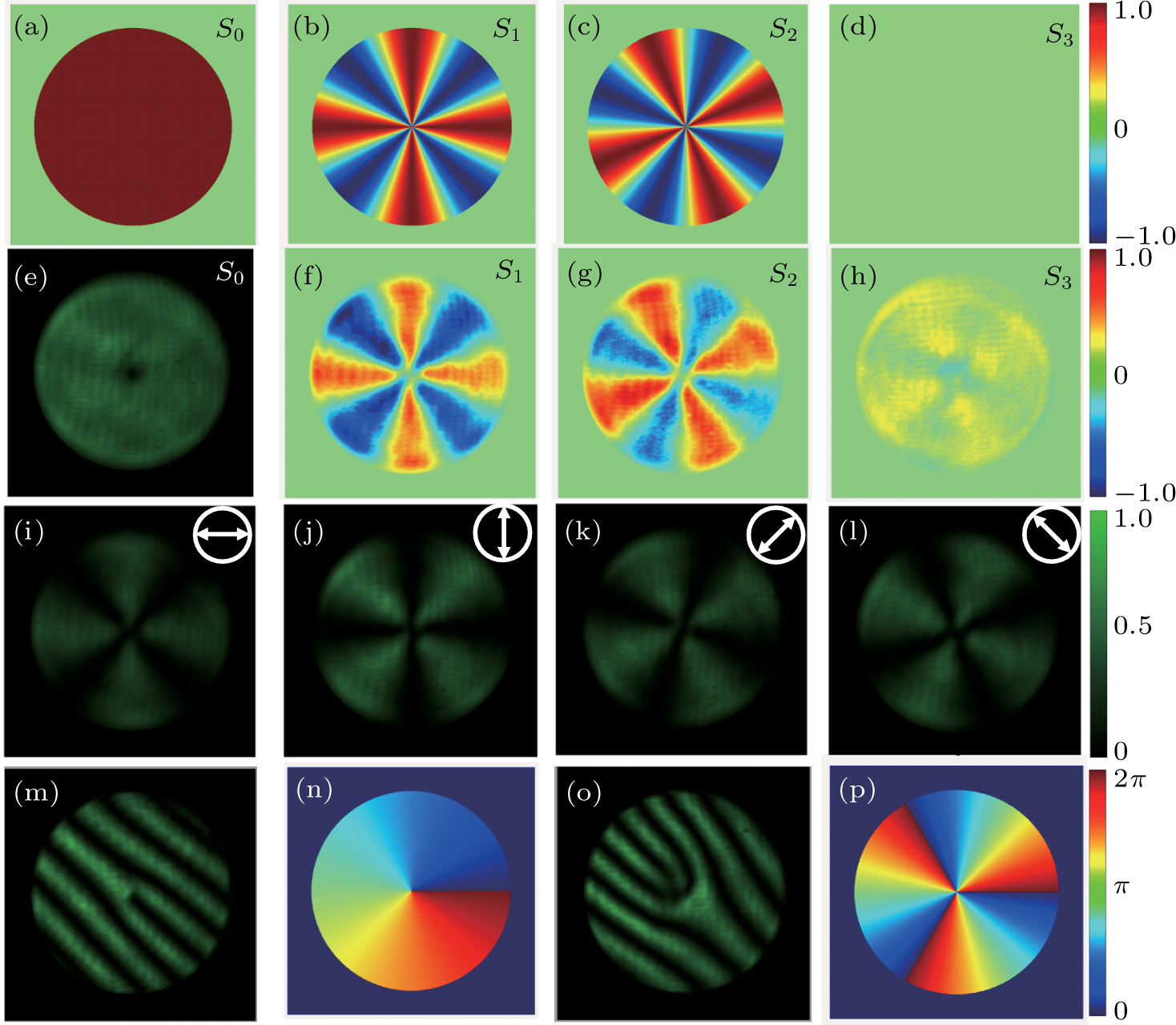 Dynamic shaping of vectorial optical fields based on two-dimensional ...